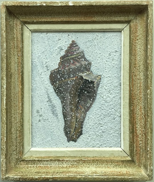 3details - single shell